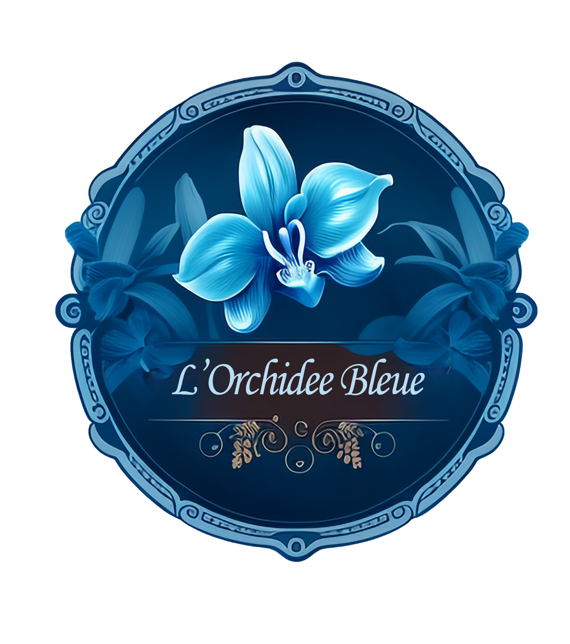 Yassine Jeridi Portfolio